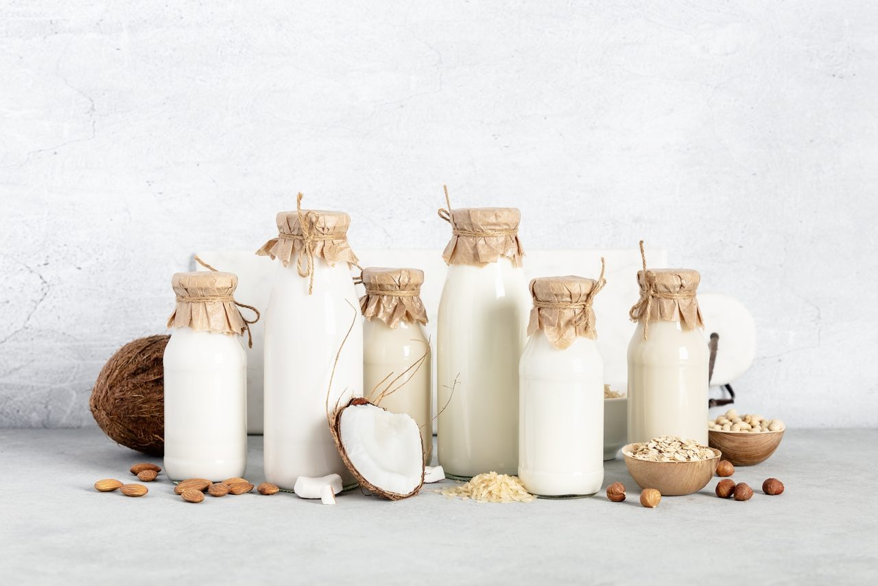 Plant-Based Milk Processing & Processing of Plant-Based Products